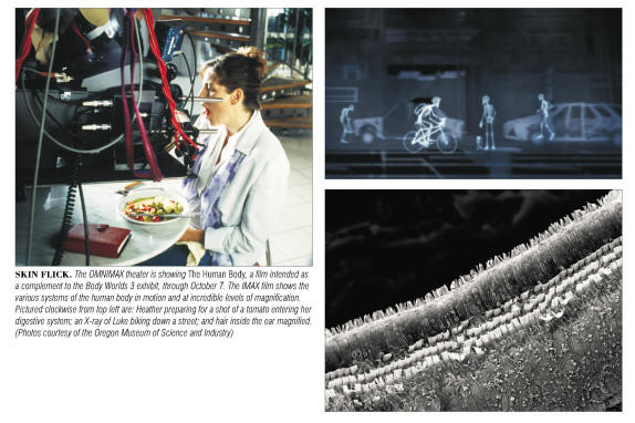 The Asian Reporter - Film Section